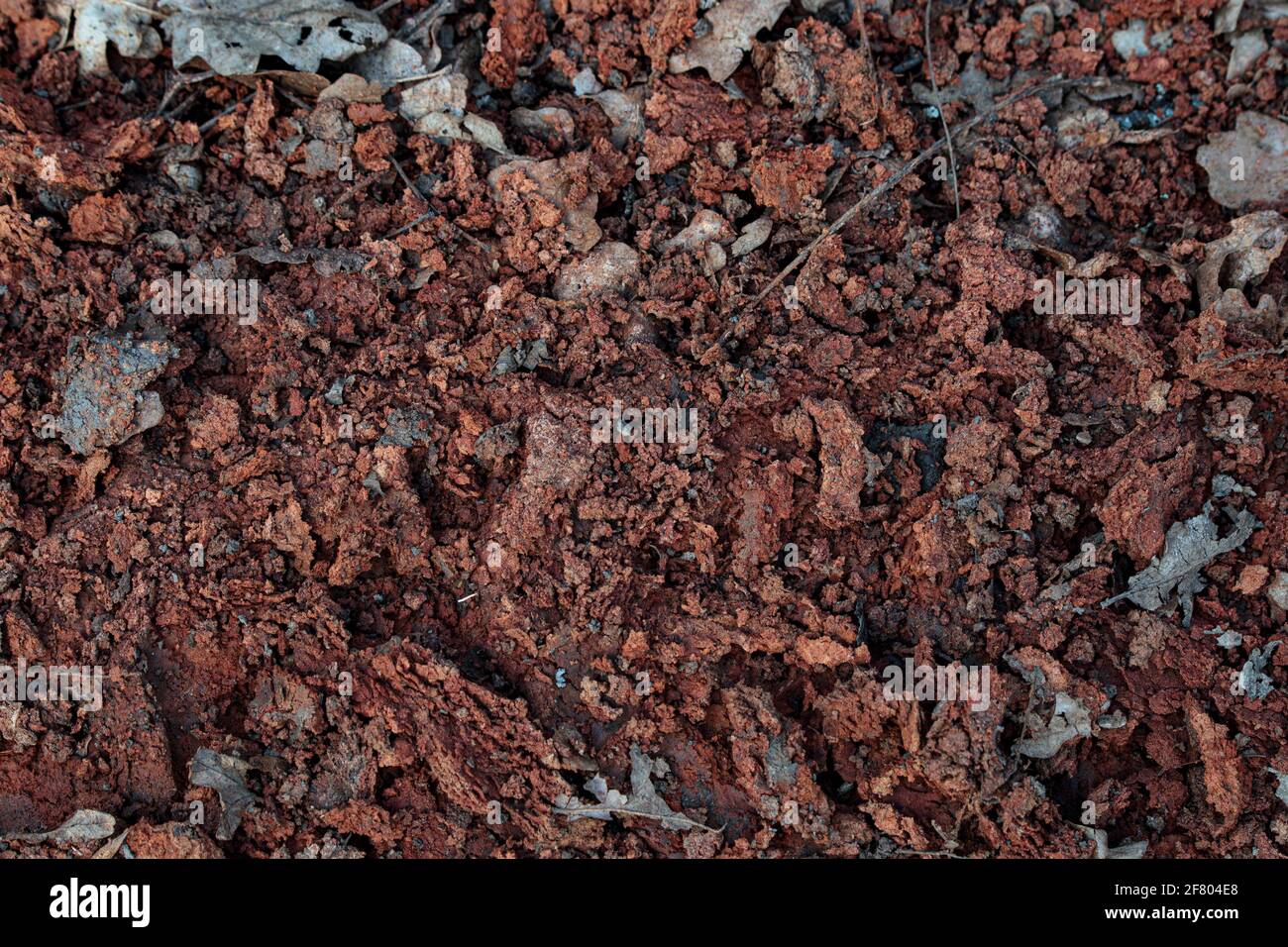 Red clay. Red soil background, earth texture, durt. Organic mud in ...