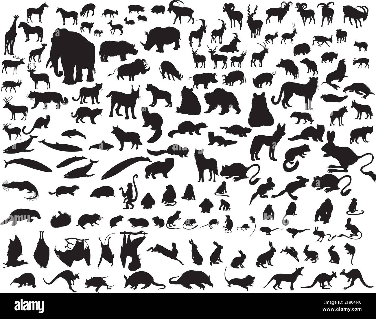Biggest collection of different silhouettes of animals, birds and ...