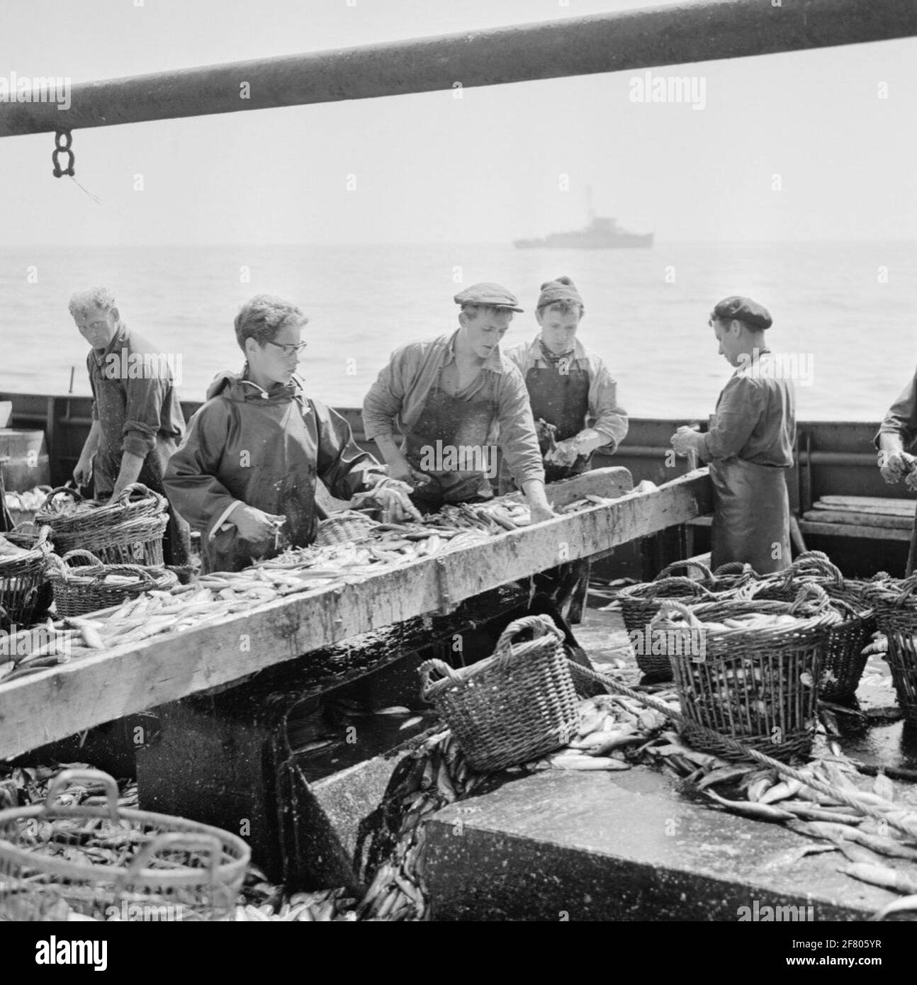 Fishing inspection in the North Sea with the frigate of predator class ...