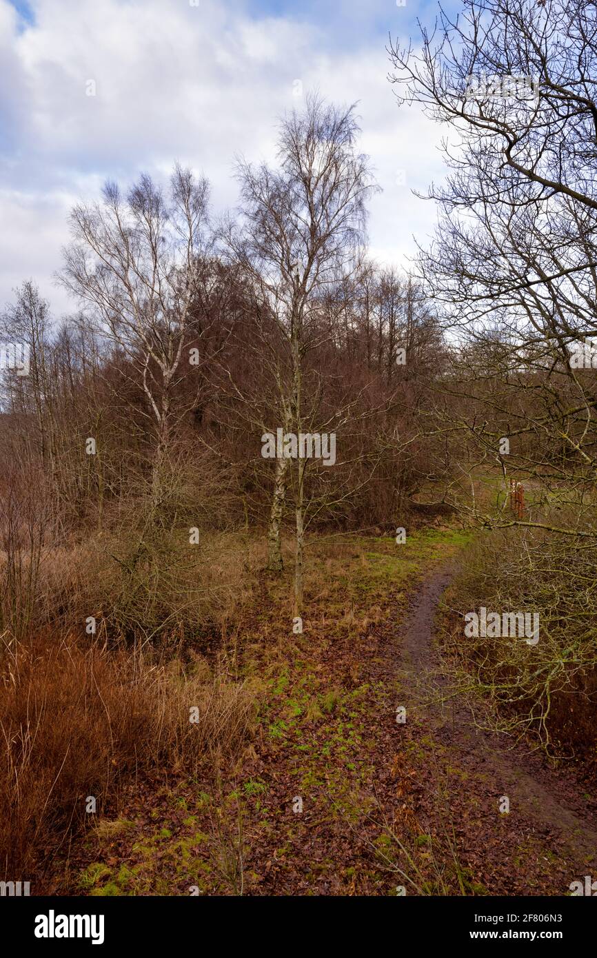 A nature trail with a beautiful sky in the background. Picture from ...