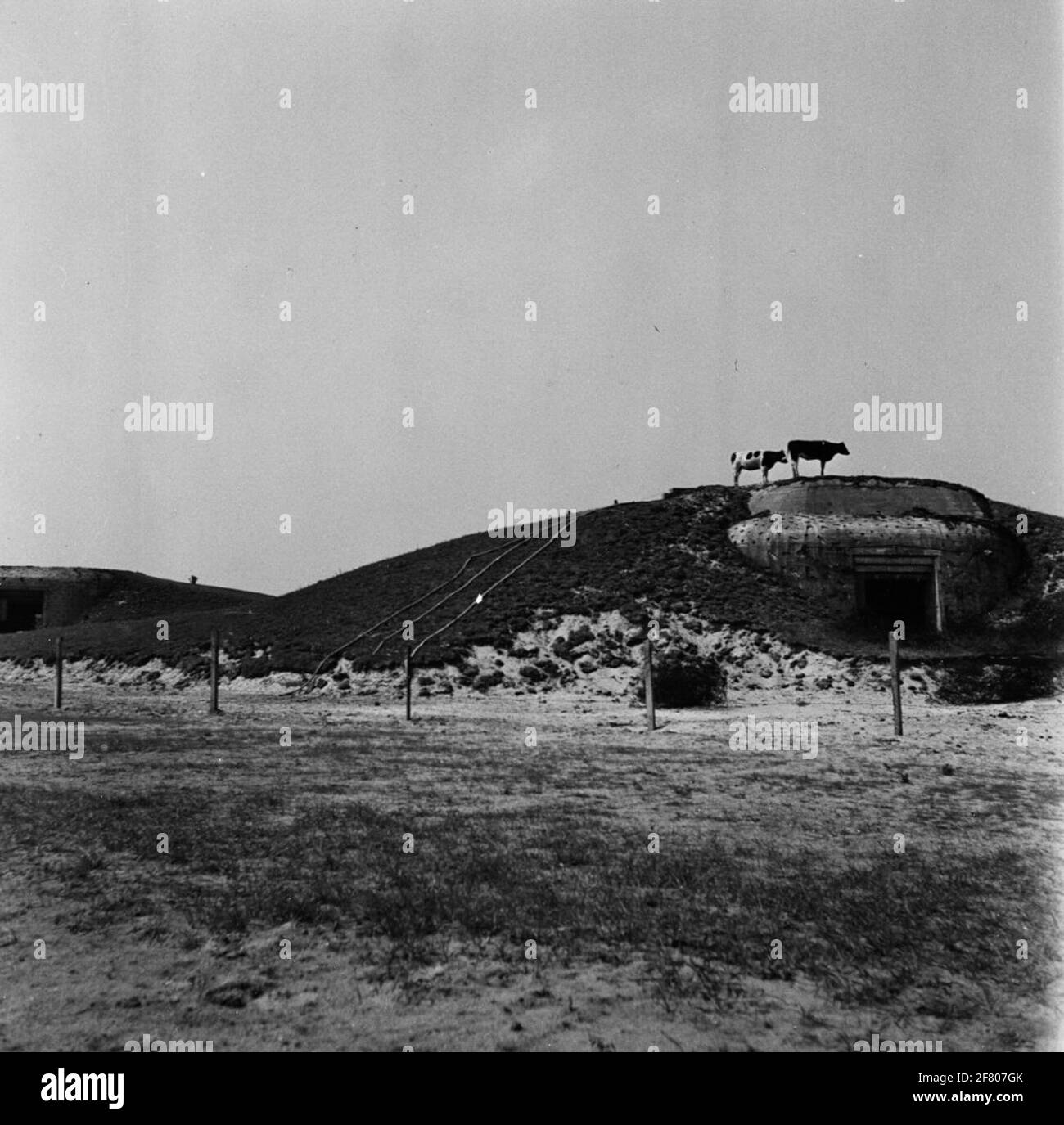 World war german defensive Black and White Stock Photos & Images - Alamy