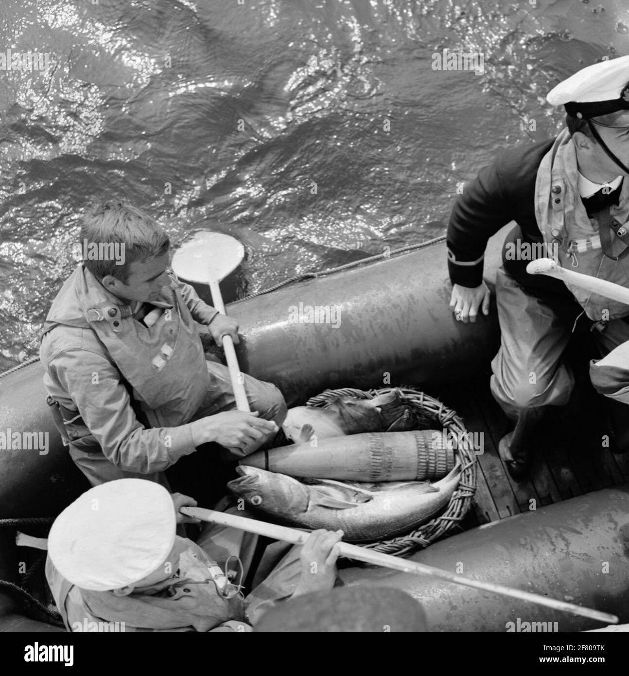 Fishing inspection in the North Sea with the frigate of predator class ...
