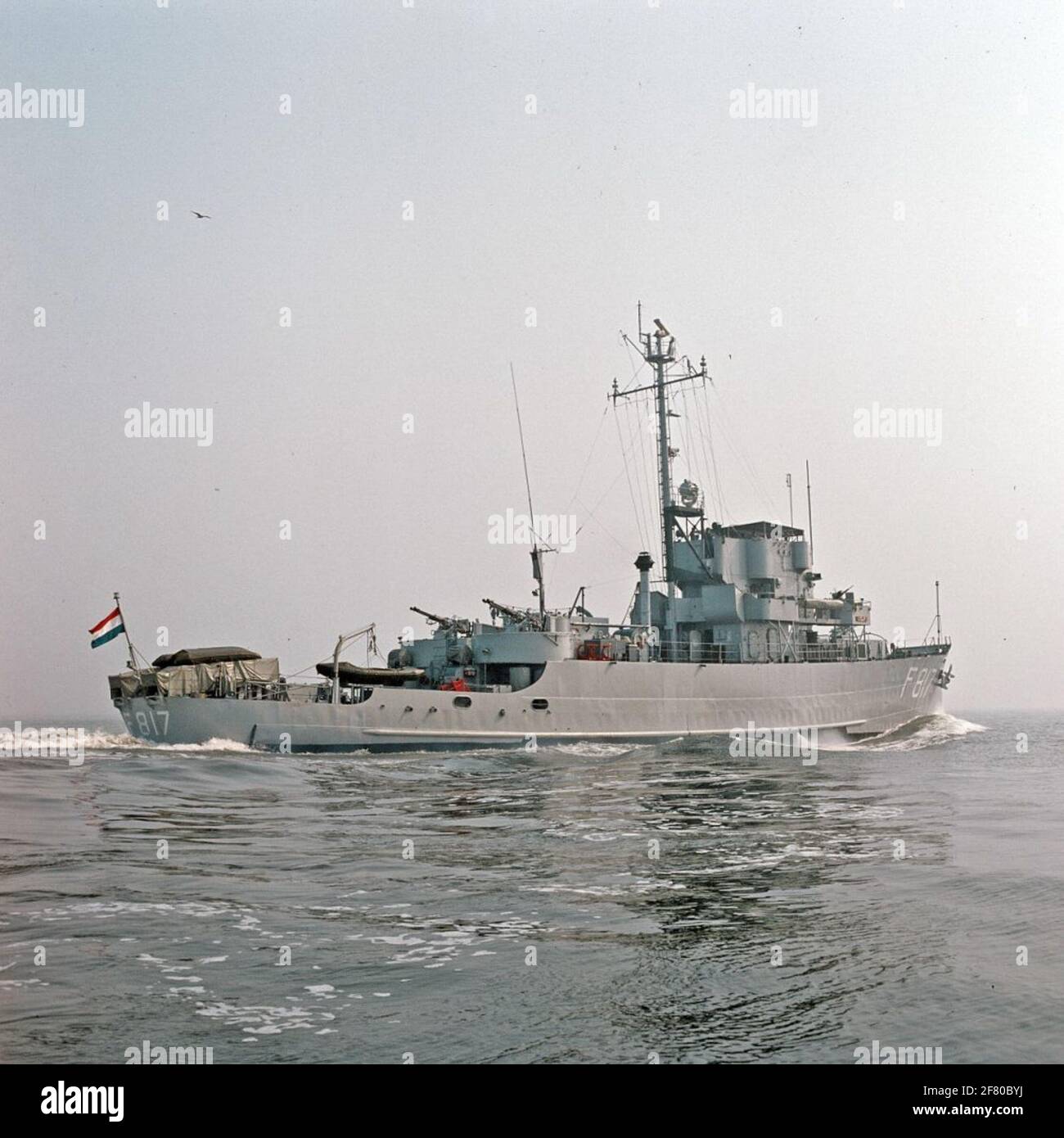 The predator class frigate hr.ms. Wolf (ex-US PCE 1607, 1954-1984 Stock ...