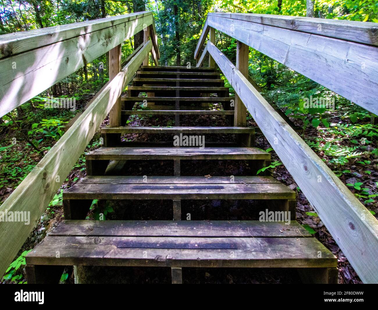 Hiking trail staircase view hi-res stock photography and images - Alamy
