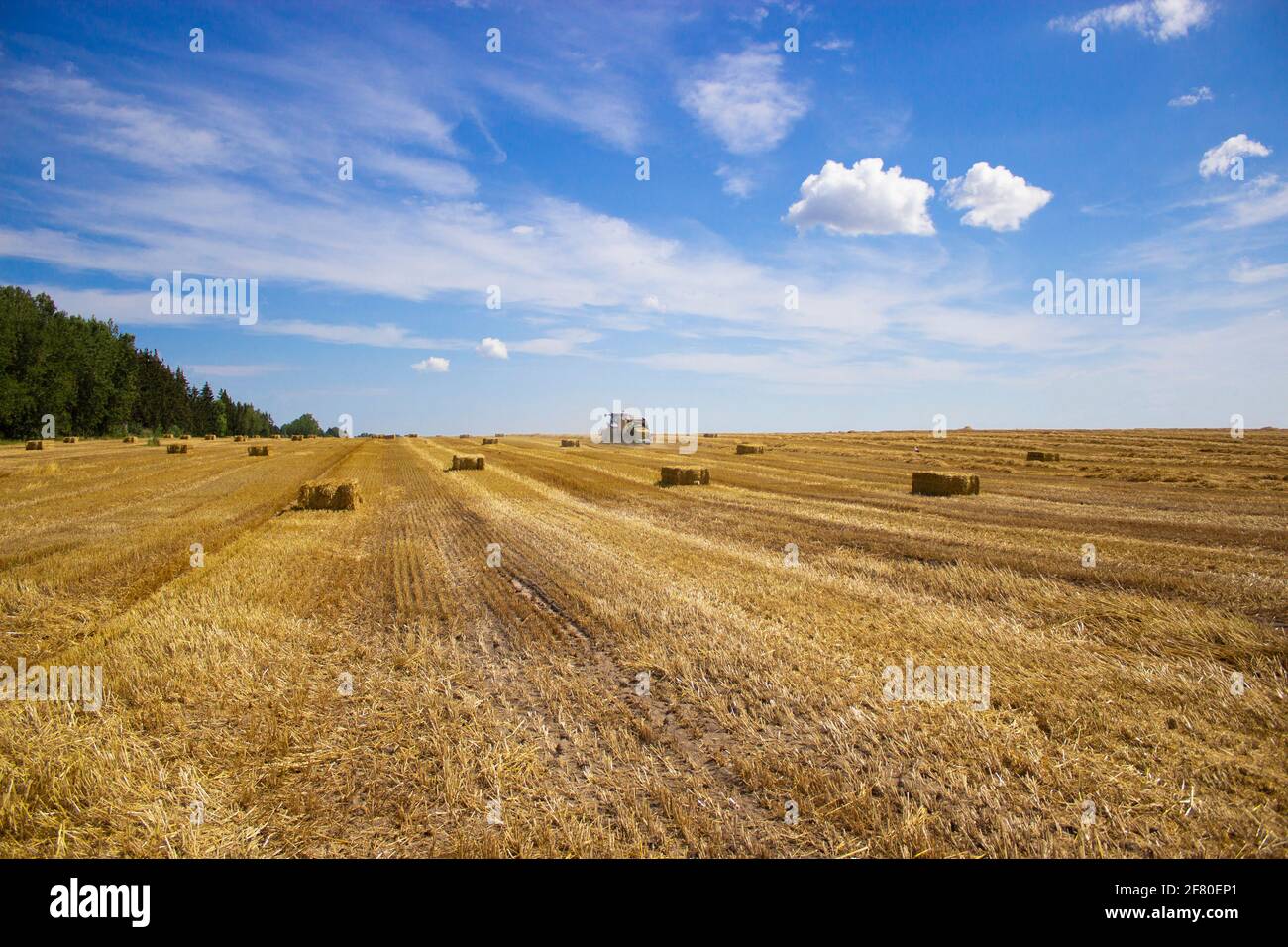 Baling plant hi-res stock photography and images - Alamy