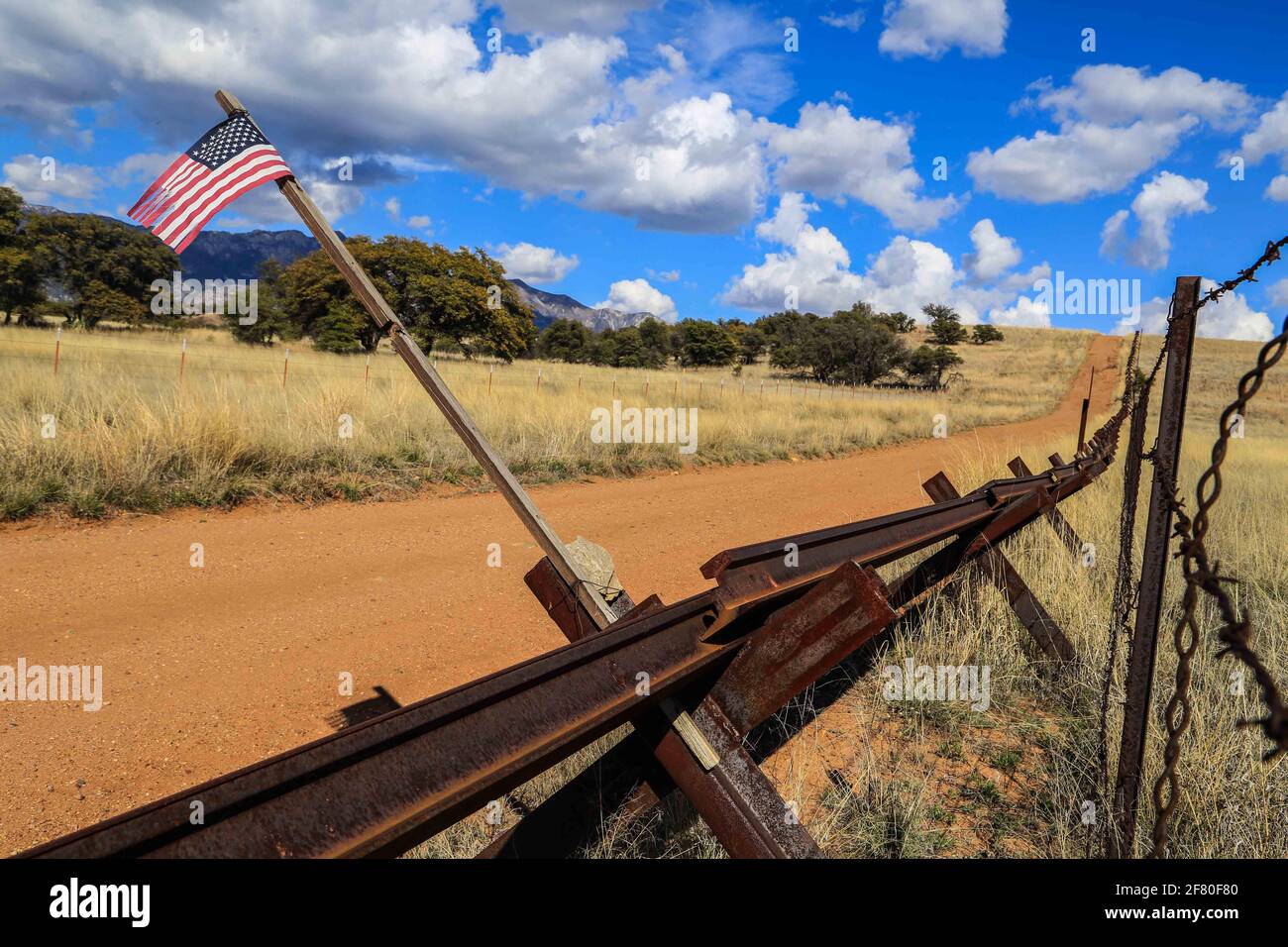Beaver border hi-res stock photography and images - Alamy