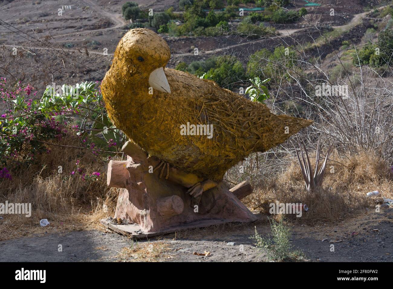 Zinc planter hi-res stock photography and images - Alamy
