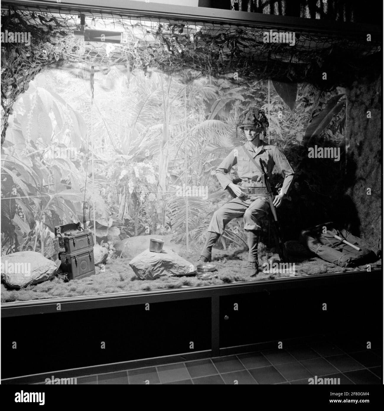 Depiction of Marines with their equipment in the jungle in the 40s in ...