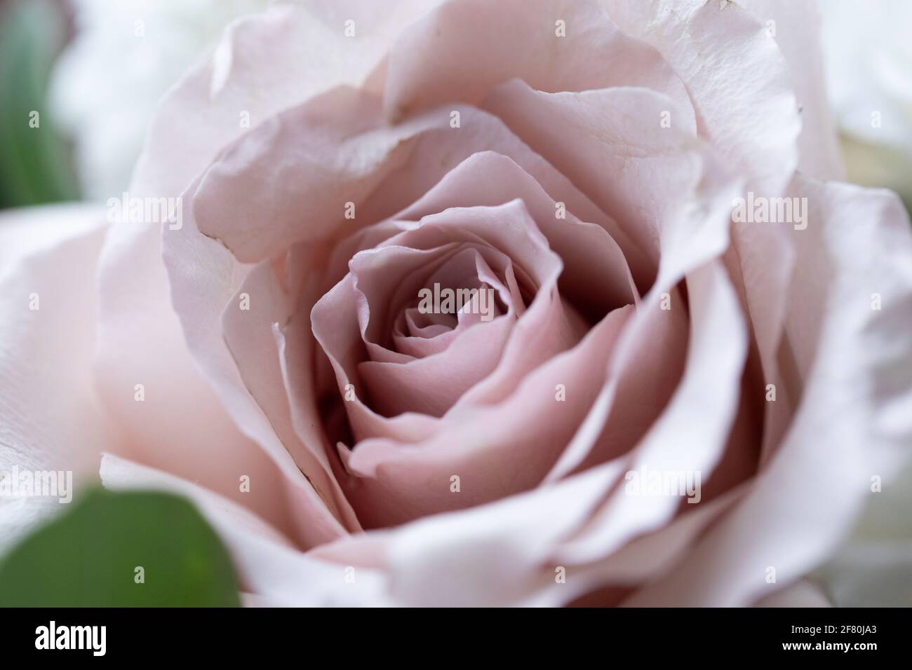 Focus the light hi-res stock photography and images - Alamy