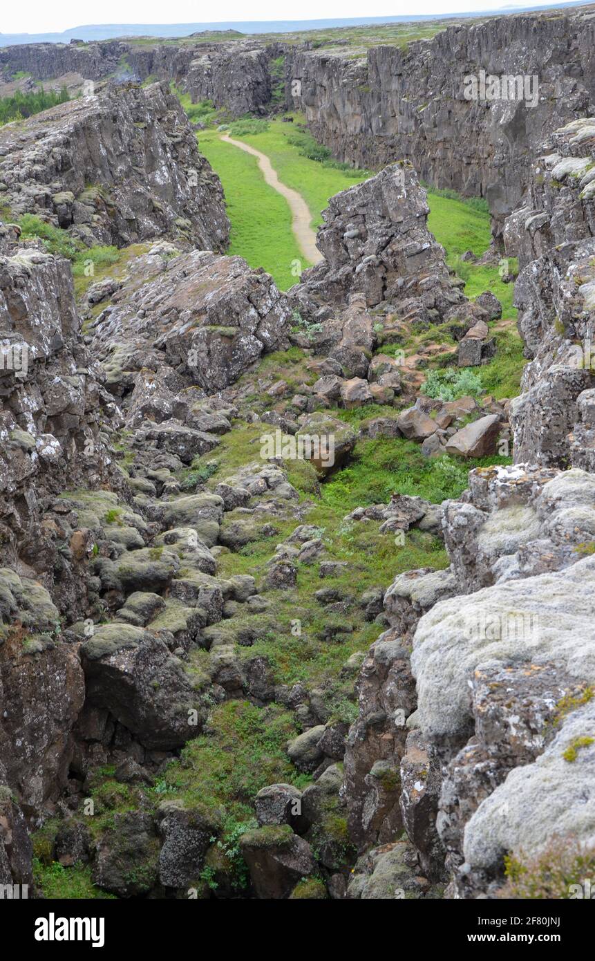 Vertical shot of a rocky path with green grass between mountain layers ...