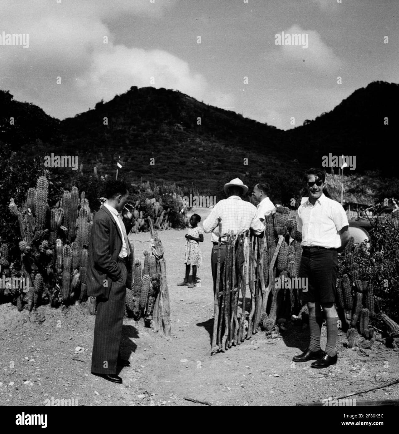 White drivers hi-res stock photography and images - Alamy