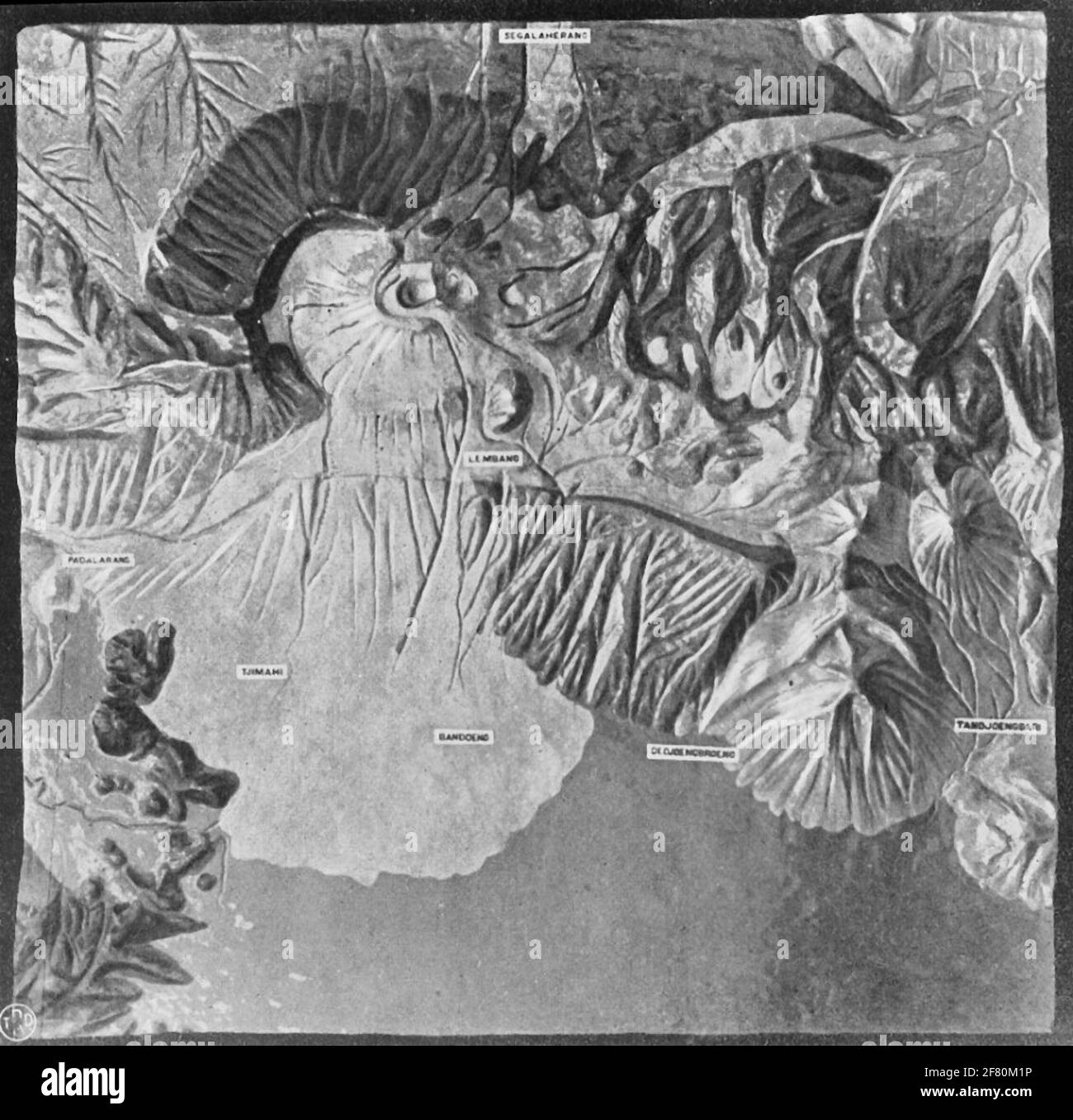 Study from model Black and White Stock Photos & Images - Alamy