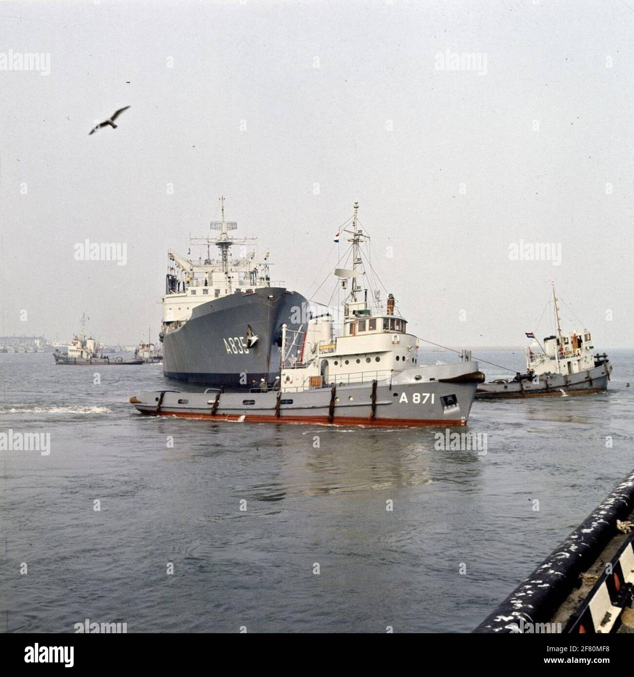 The Marine Coastal Sleepboat Wambrau (A 871, 1957-1987) dragged with ...