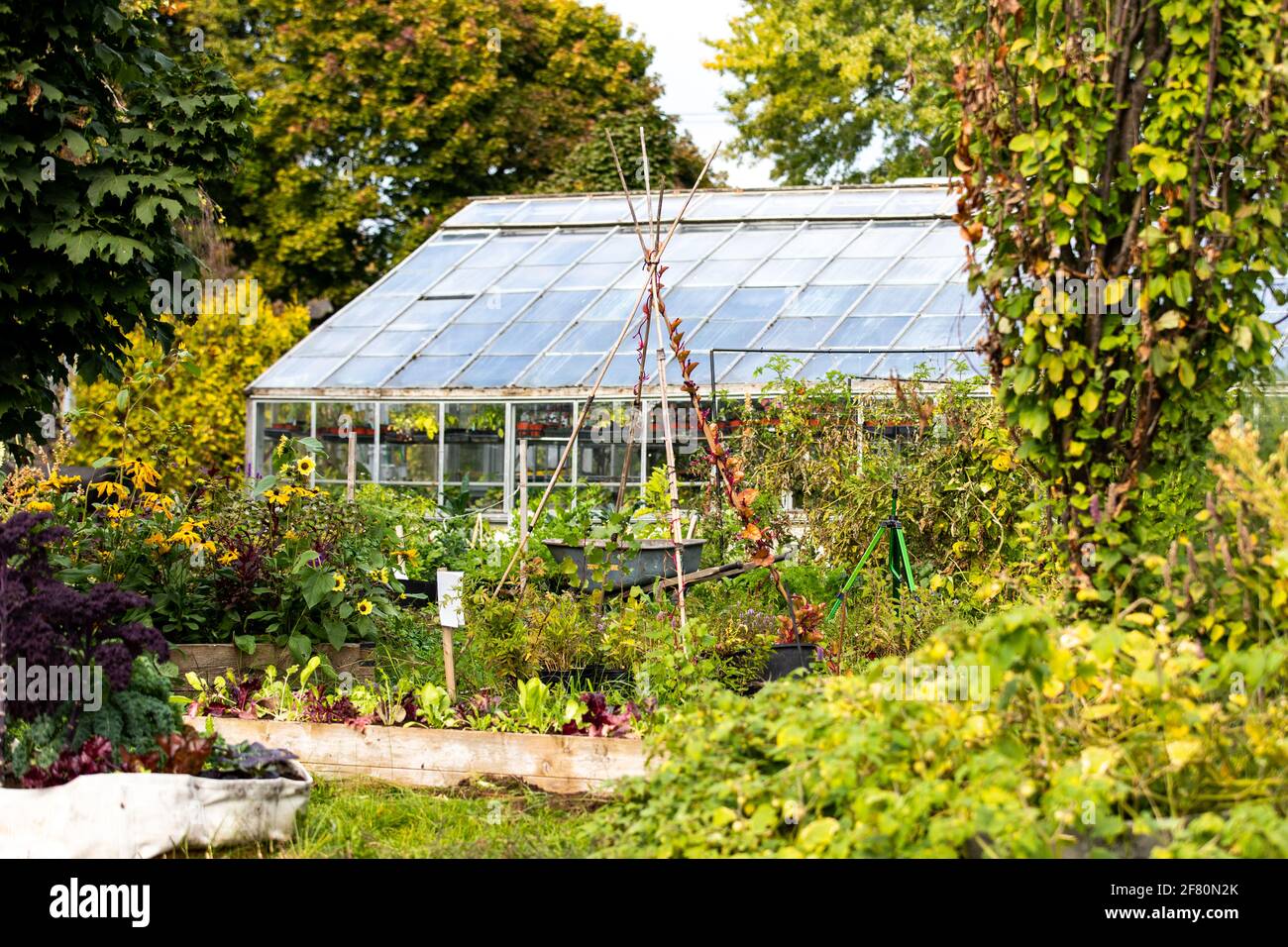 Angled roof hi-res stock photography and images - Alamy