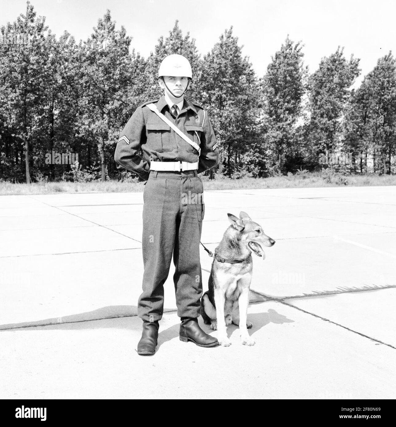 A corporal-air force monitor with service dog (German shepherd) .LB ...