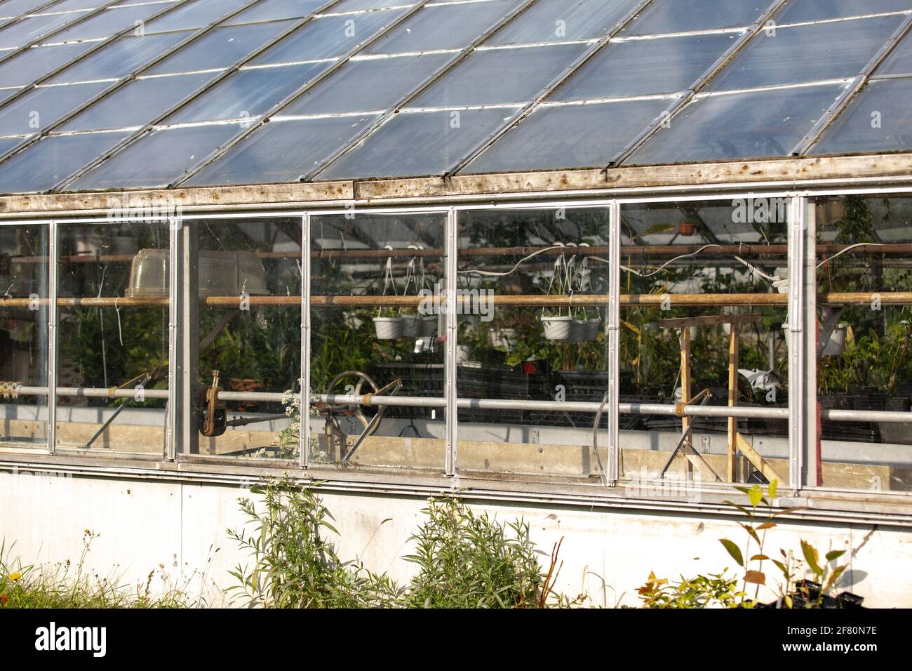 Glass roof building nature hi-res stock photography and images - Alamy