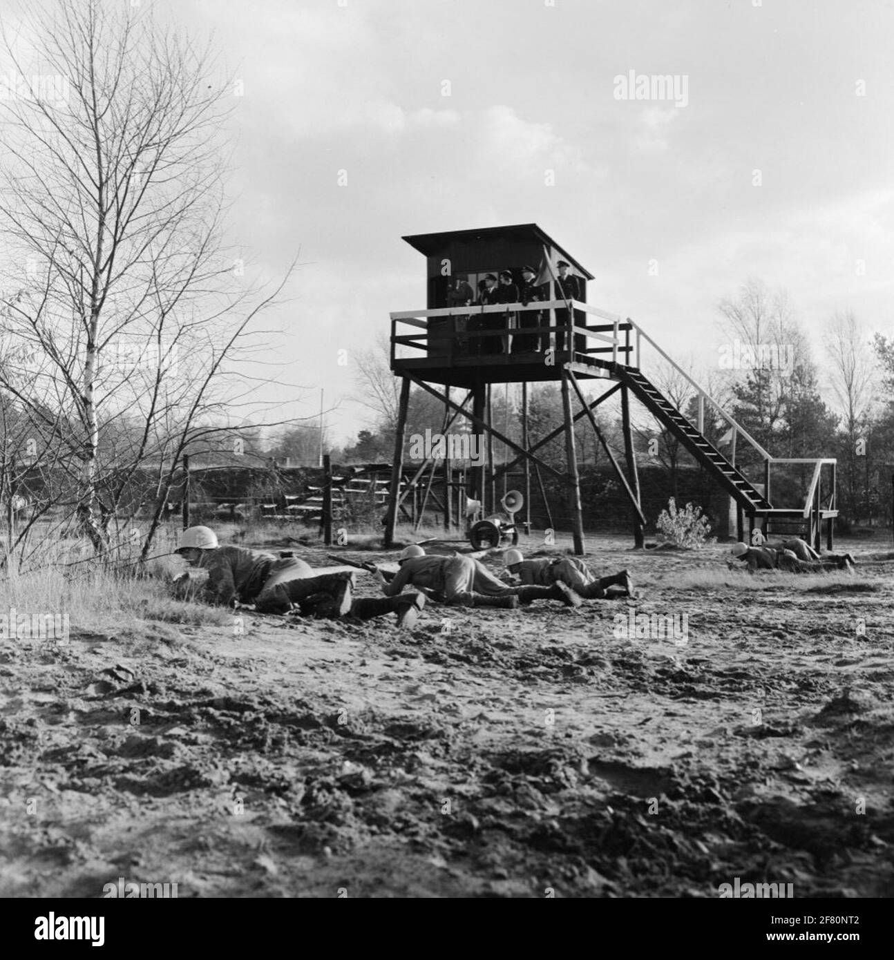 Princess Beatrix brings an introductory visit to various parts of the ...