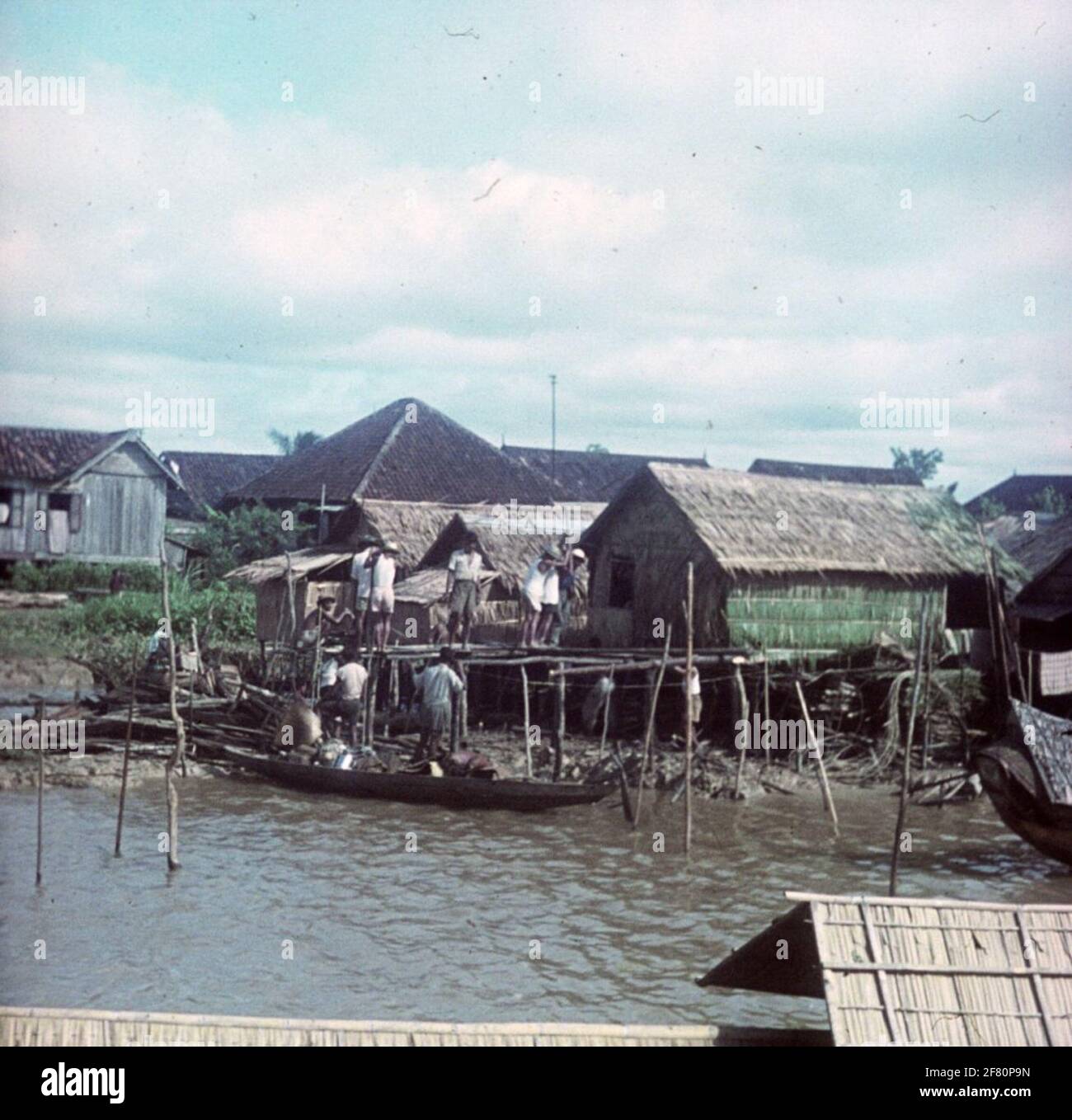 Metsi metsi hi-res stock photography and images - Alamy