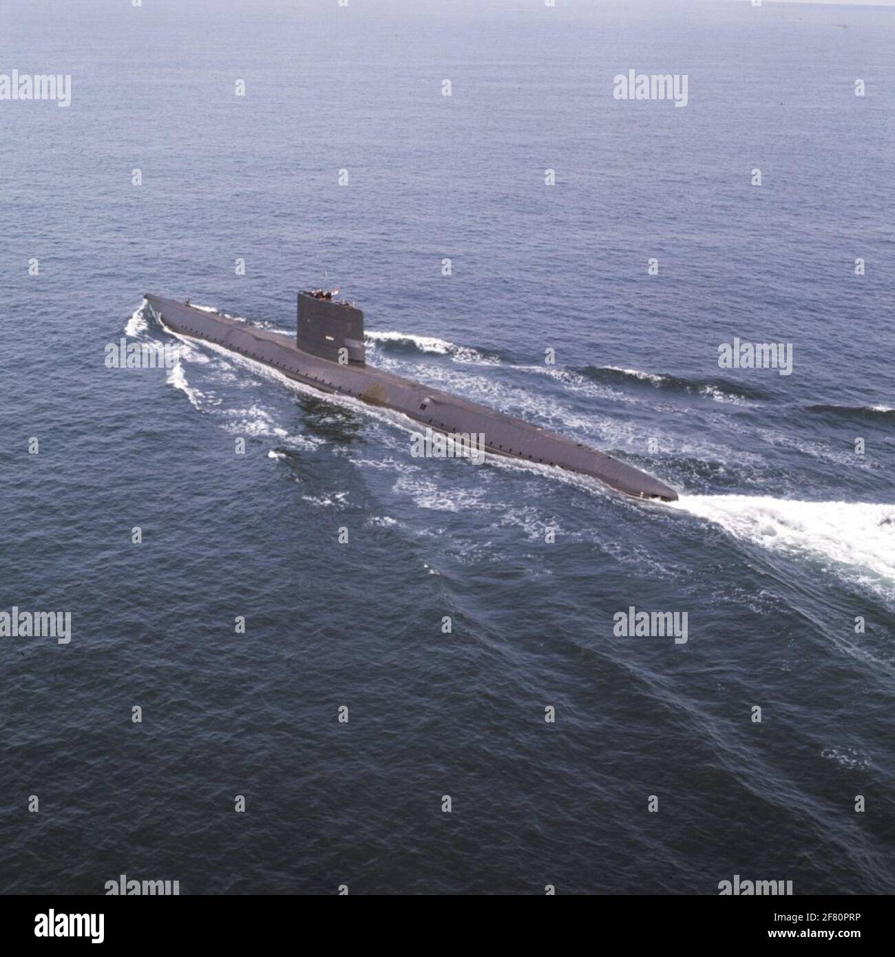 Potvis hi-res stock photography and images - Alamy