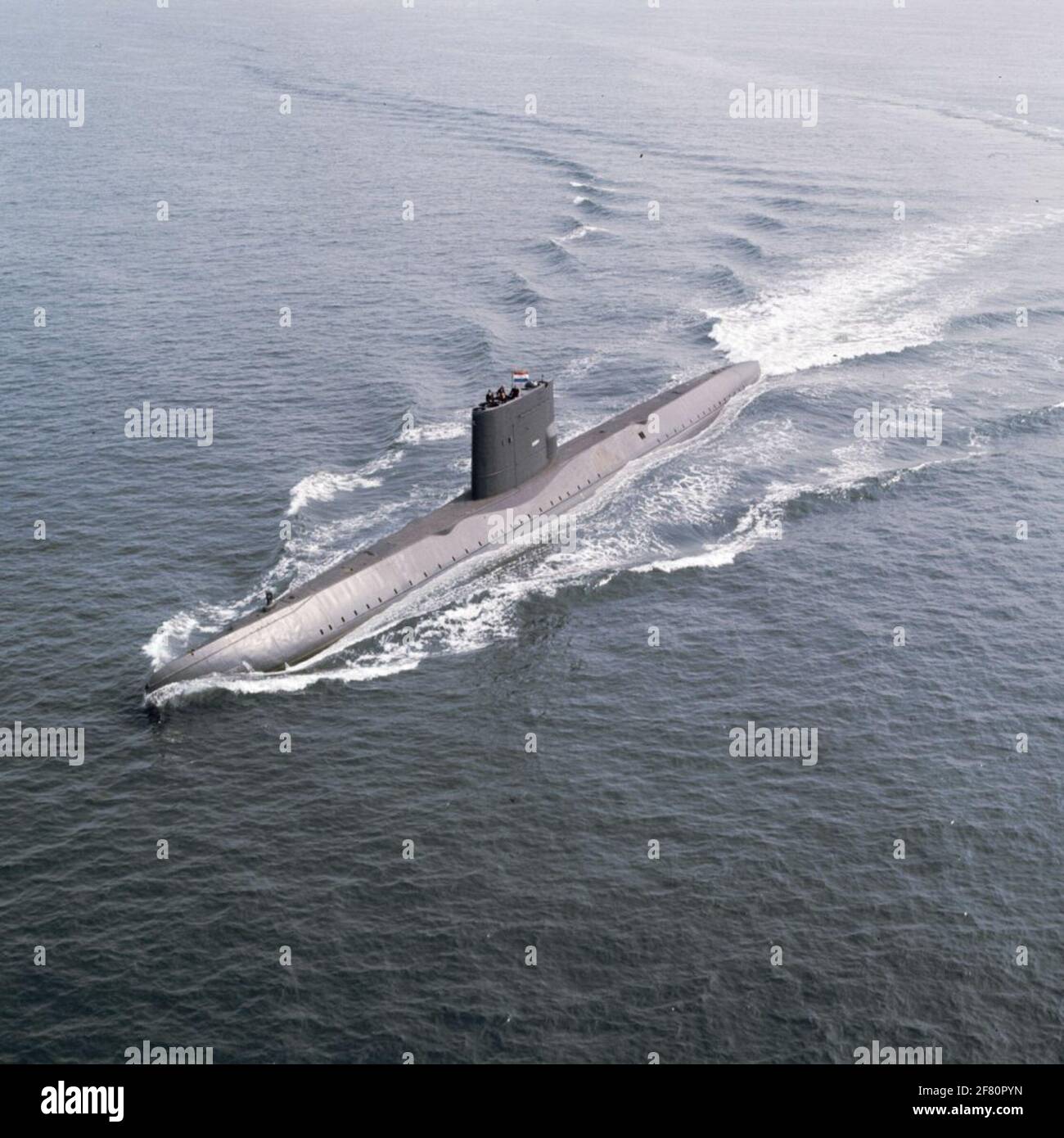 Potvis hi-res stock photography and images - Alamy