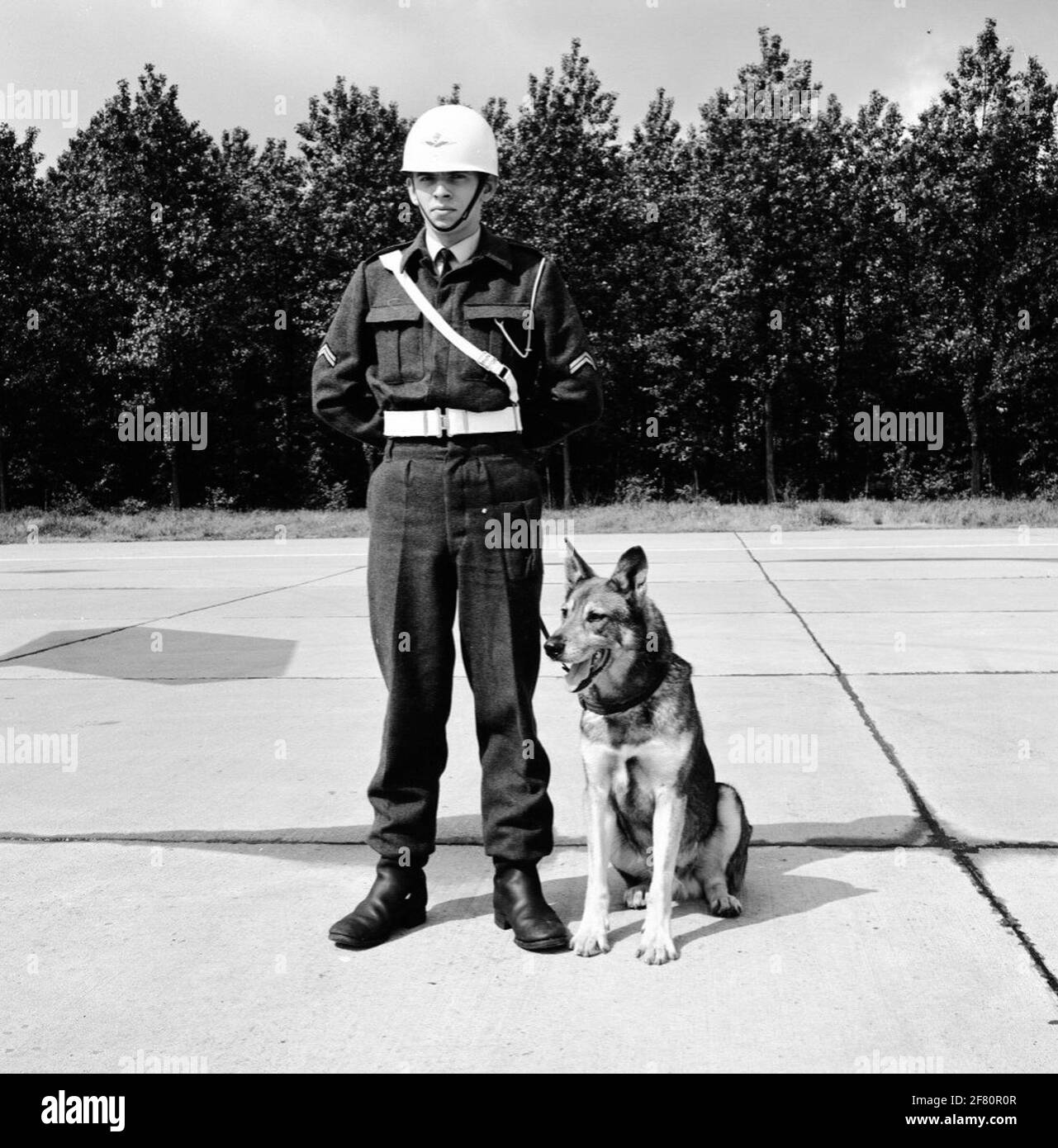 A corporal-air force monitor with service dog (German shepherd) .LB ...