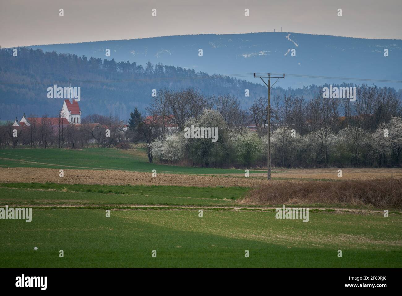 Germinatin hi-res stock photography and images - Alamy