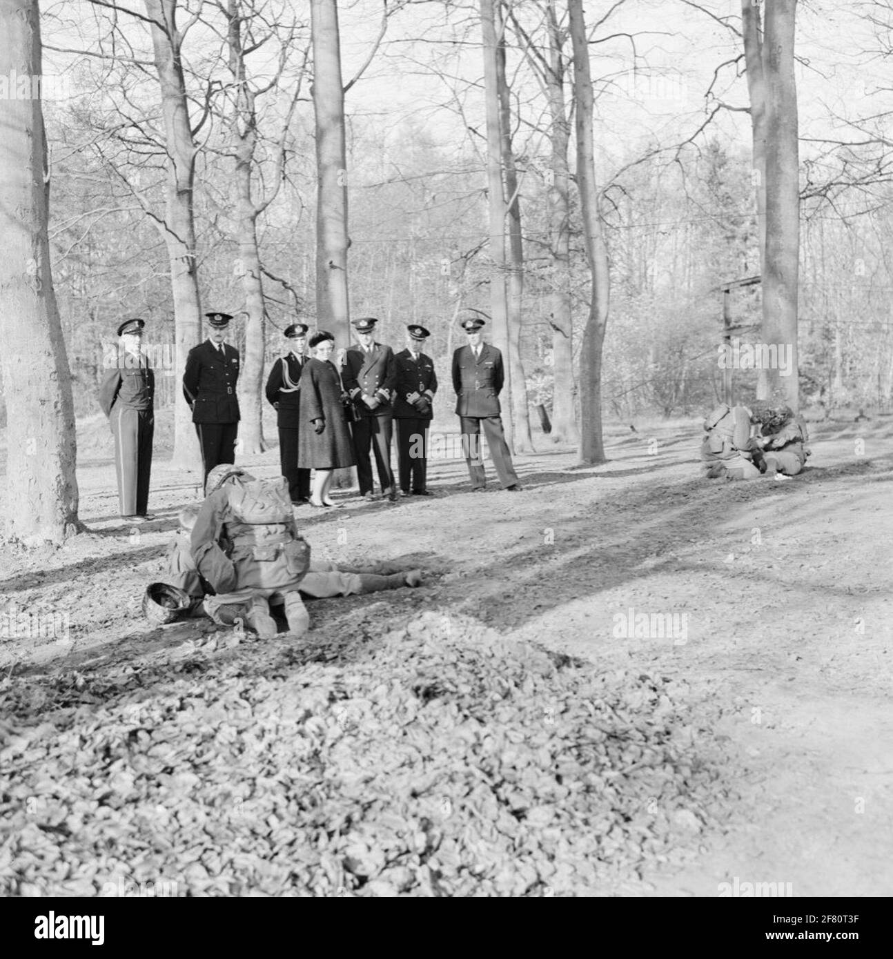 Princess Beatrix brings an introductory visit to various parts of the ...