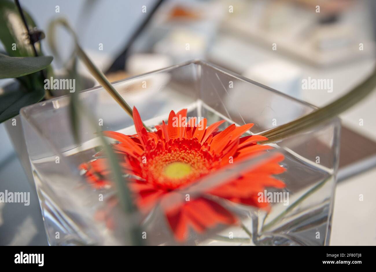 Floating flower arrangement hi-res stock photography and images - Alamy