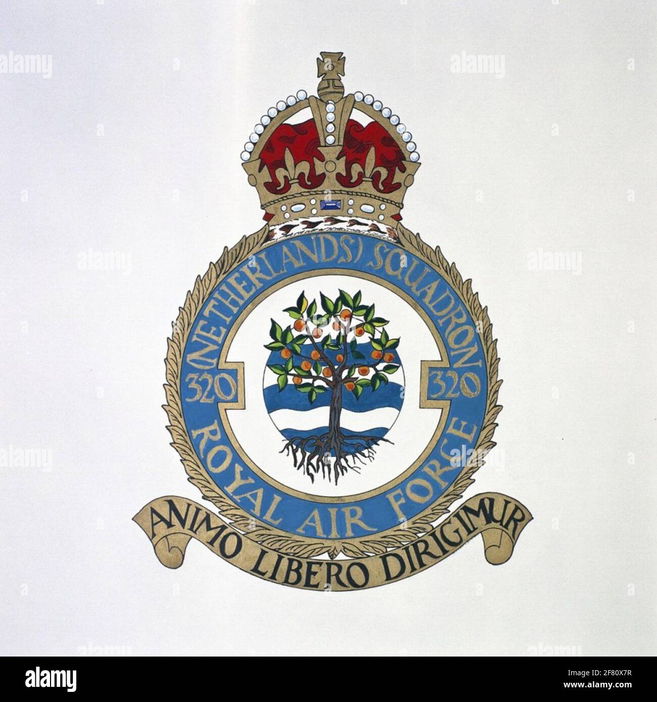 Squadron 320 (SQ 320). Squadron 320 was established in Great Britain on ...