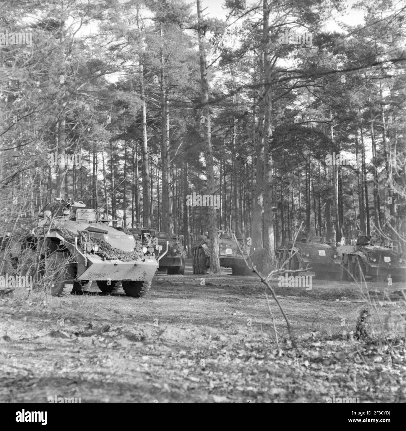 Sennelager hi-res stock photography and images - Alamy