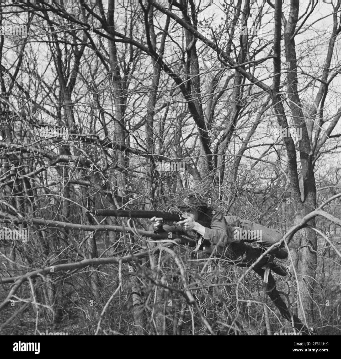 Observation post tree hi-res stock photography and images - Alamy