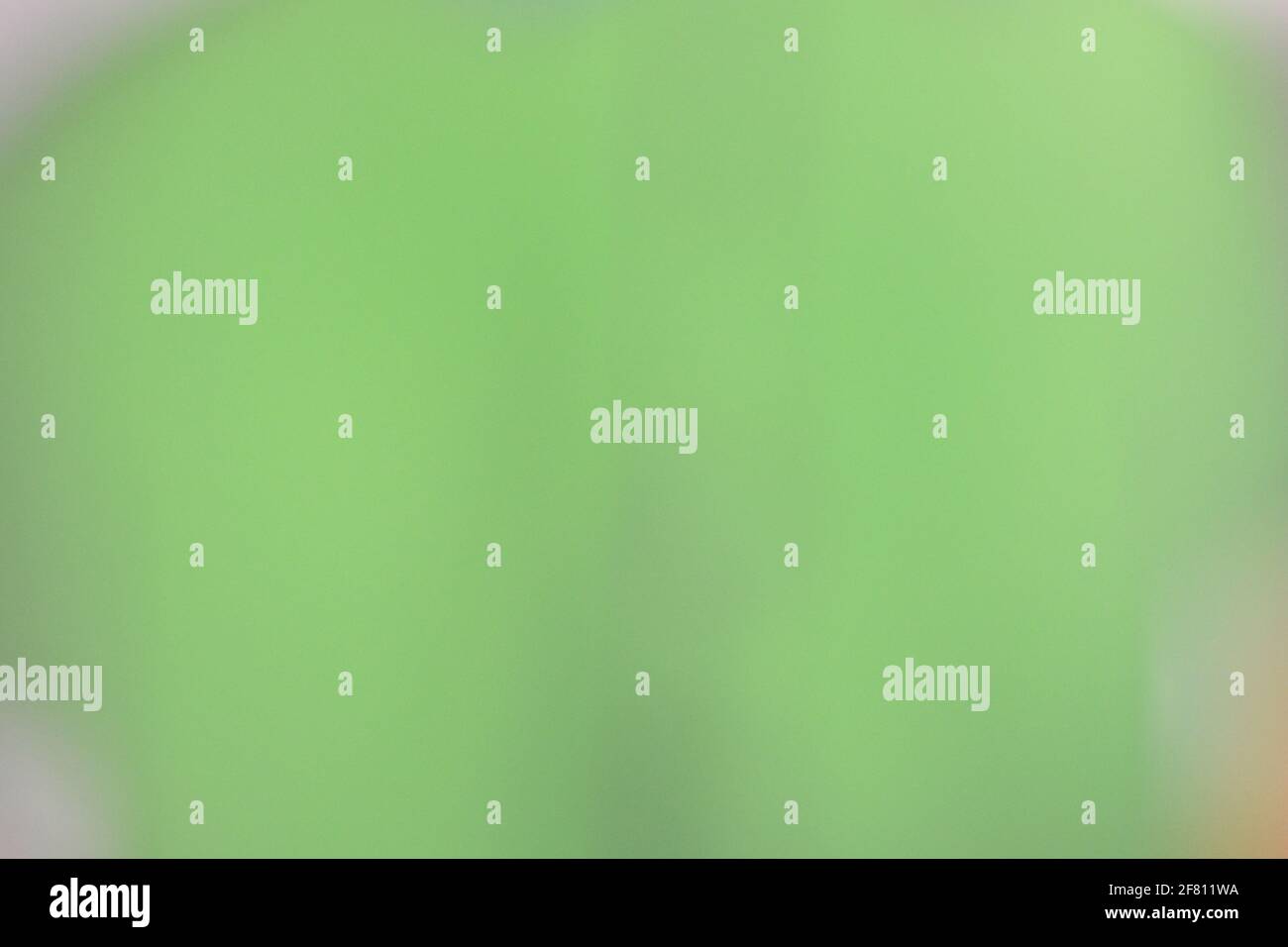 Light Green Background Wallpaper Design