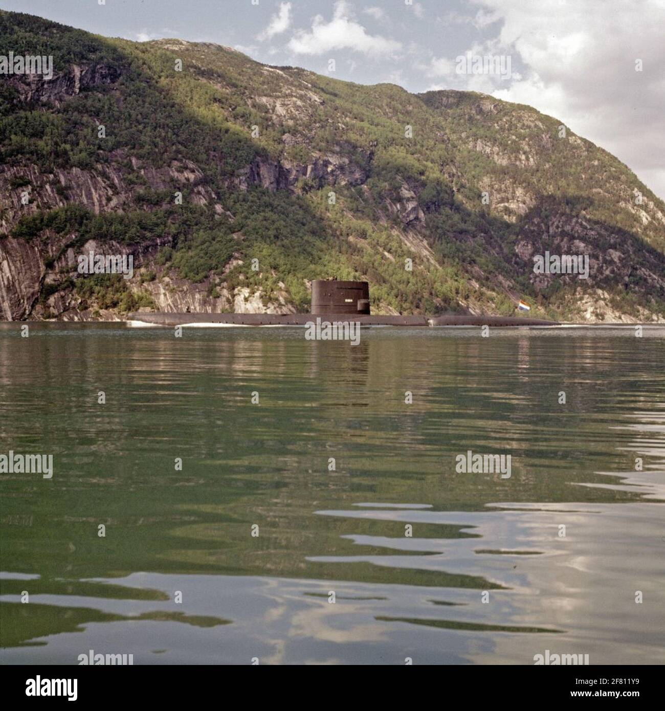 Potvis hi-res stock photography and images - Alamy