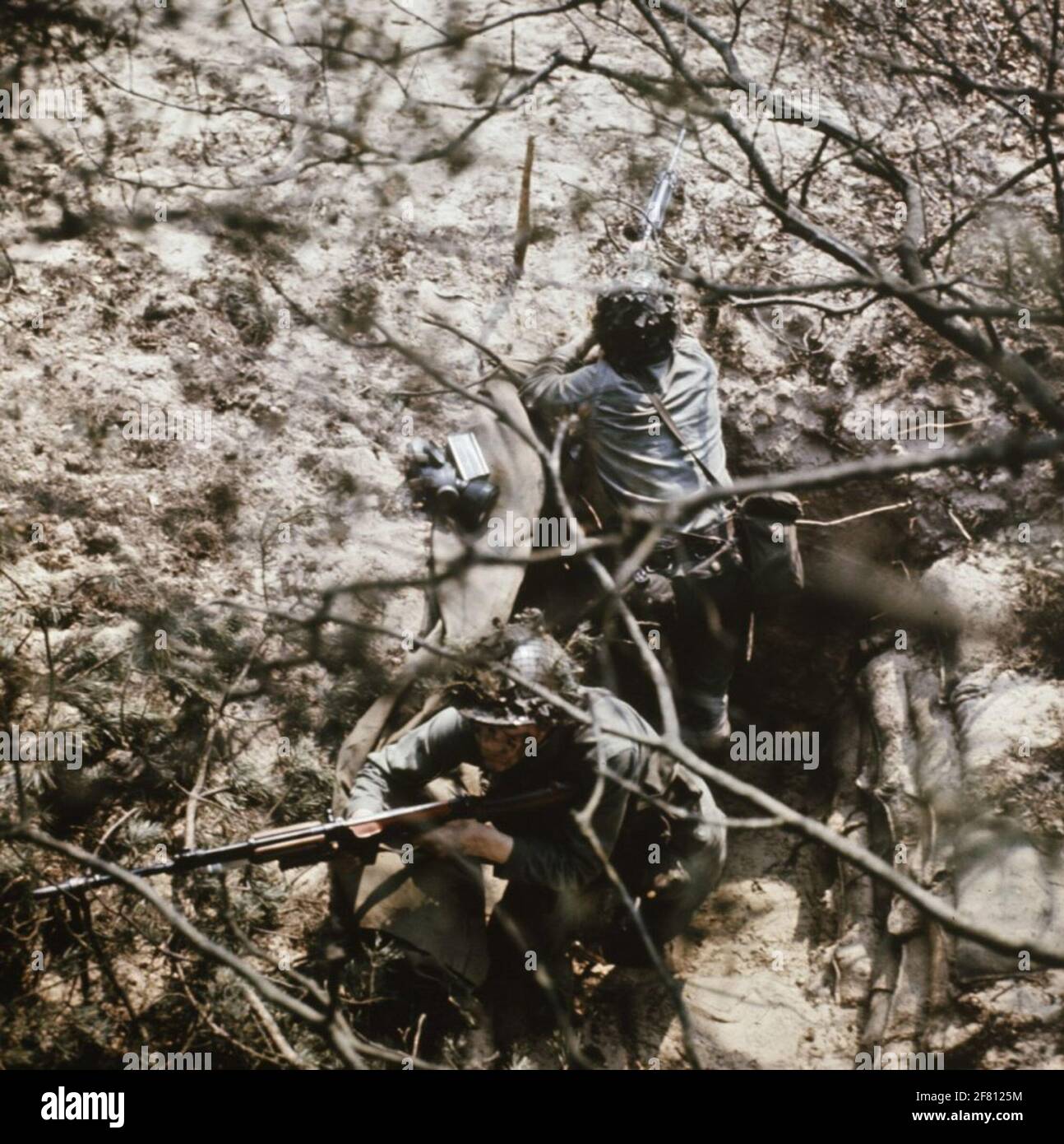 Marines in their shooting well during exercises Stock Photo - Alamy