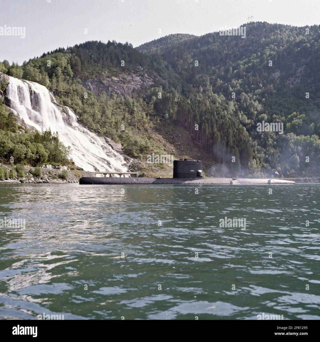 Potvis hi-res stock photography and images - Alamy