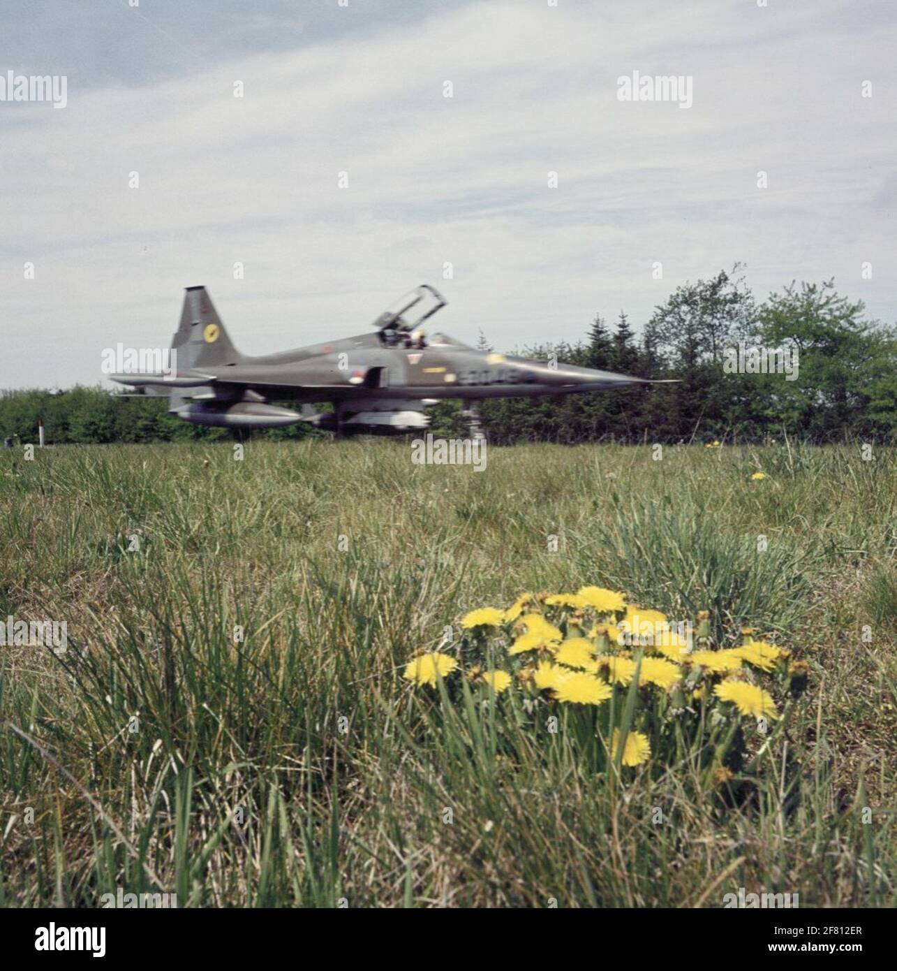 A Northrop NF-5A of 316 Squadron during the landing Stock Photo - Alamy