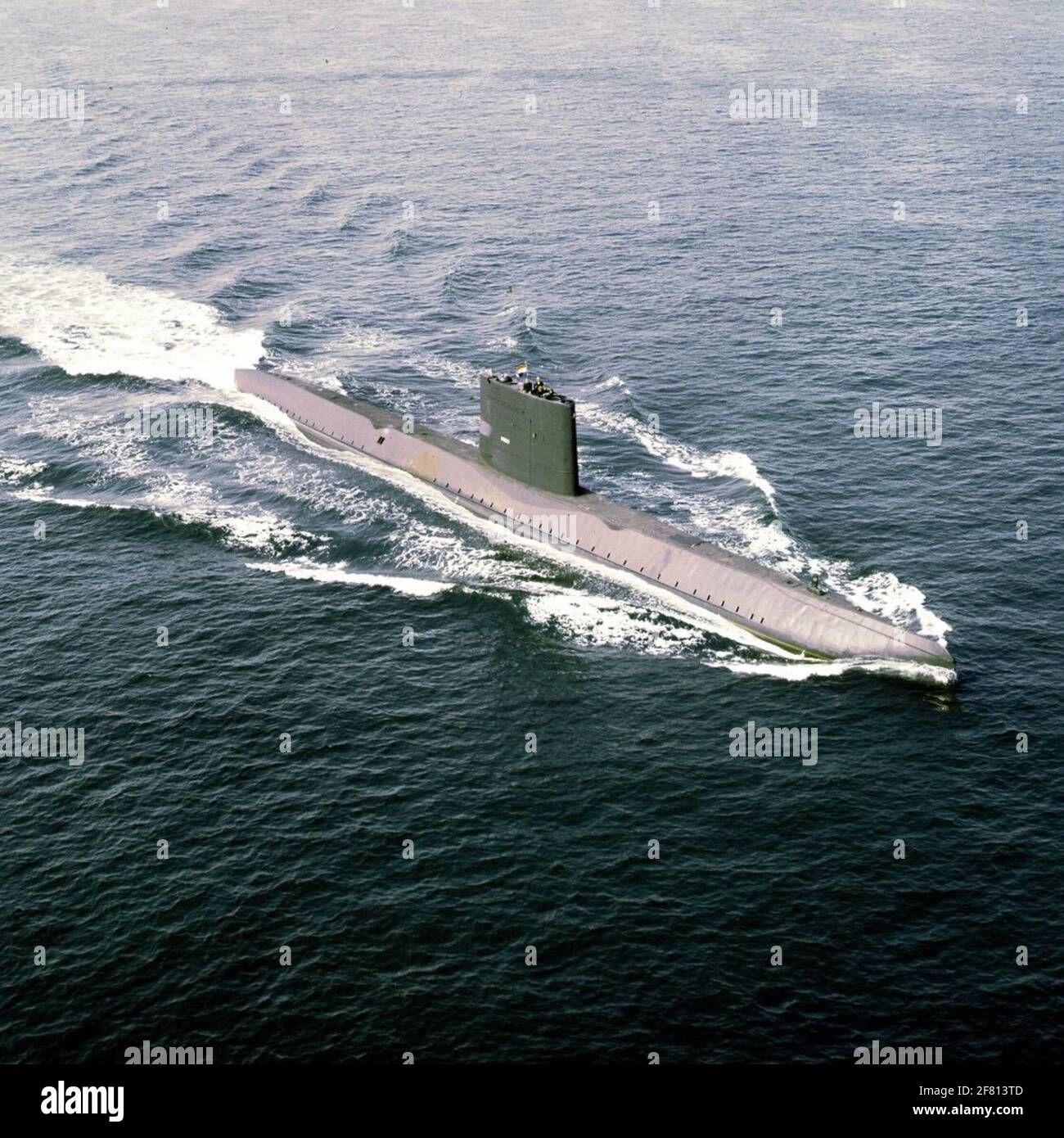 Potvis hi-res stock photography and images - Alamy