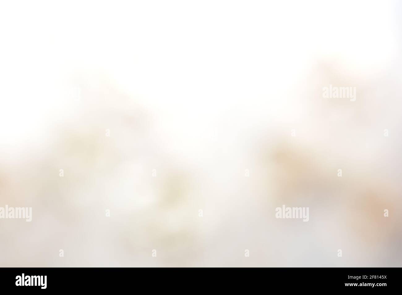 gradient brown background for wallpapers and graphic designs, blurred ...