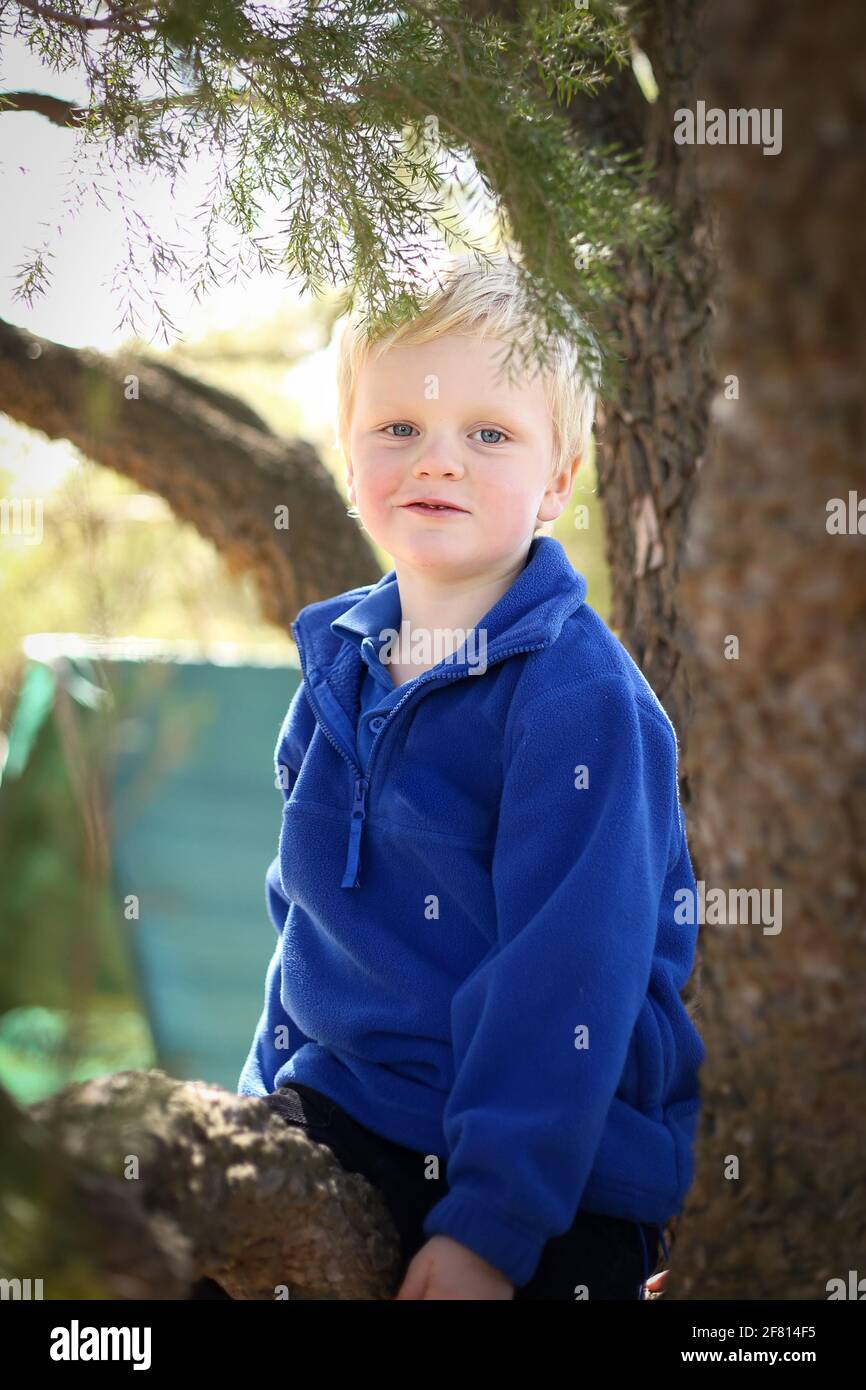 Cute little blonde kid sitting on a tree branch in a park Stock Photo ...