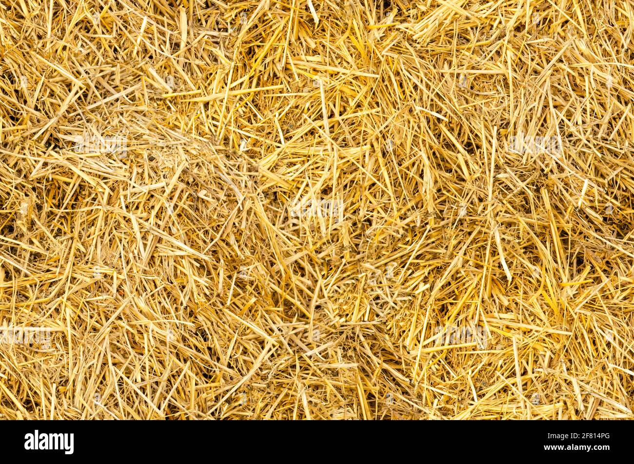 Hay bale background. Hay texture for agriculture concept Stock Photo ...
