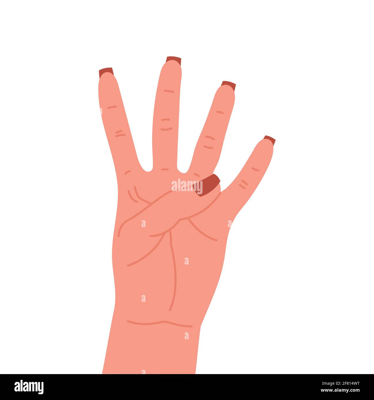 Counting fingers on hand, isolated on white background, vector ...