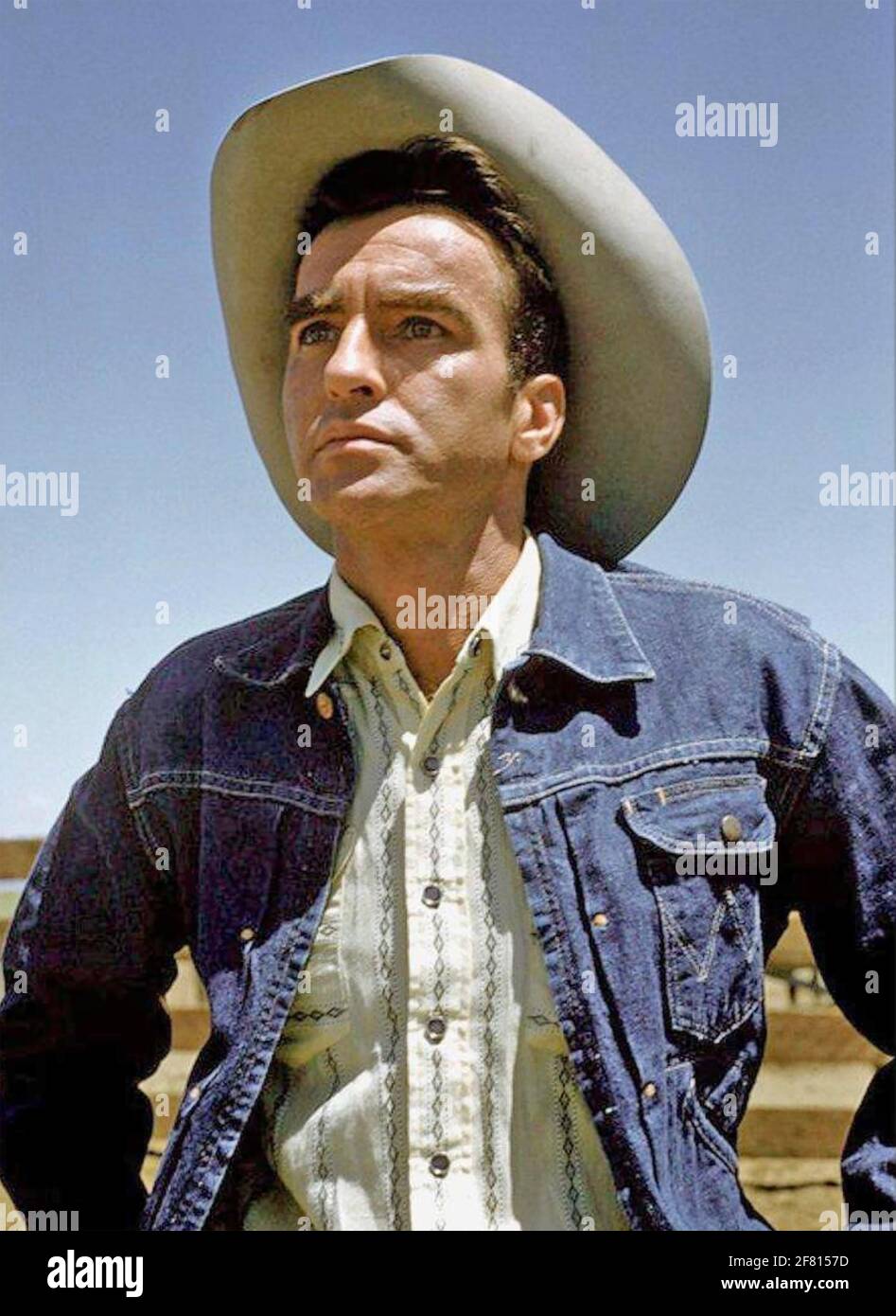 MONTGOMERY CLIFT (1920-1966) American fiolm actor about 1960 Stock ...