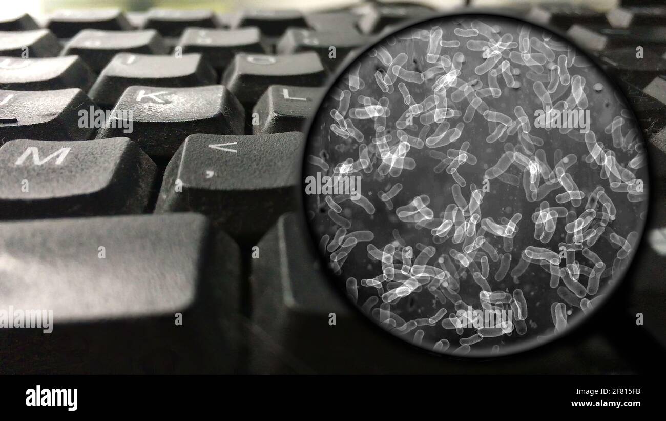 Searching for bacteria on computer keyboard Stock Photo - Alamy