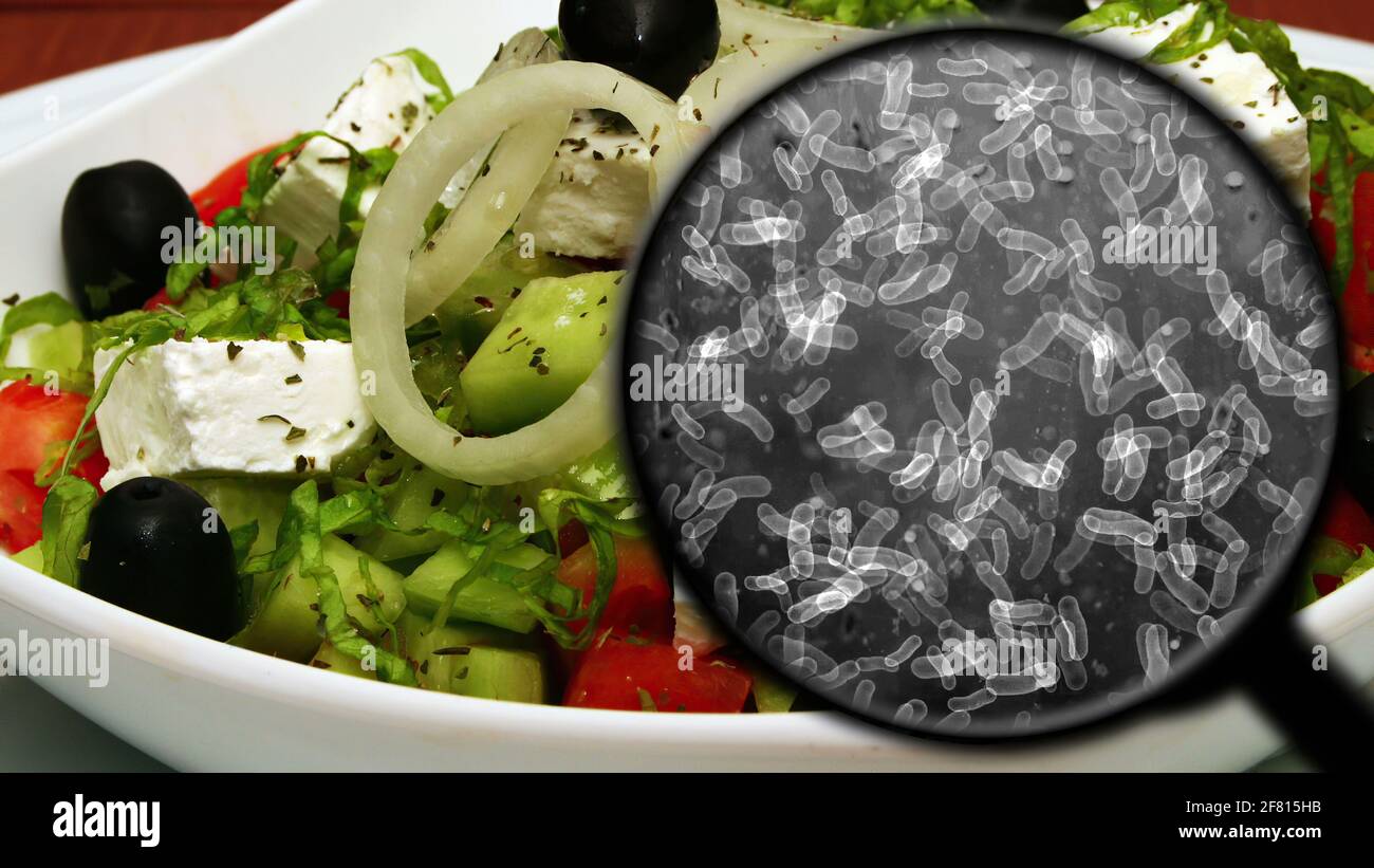 Searching for bacteria in vegetables Stock Photo - Alamy