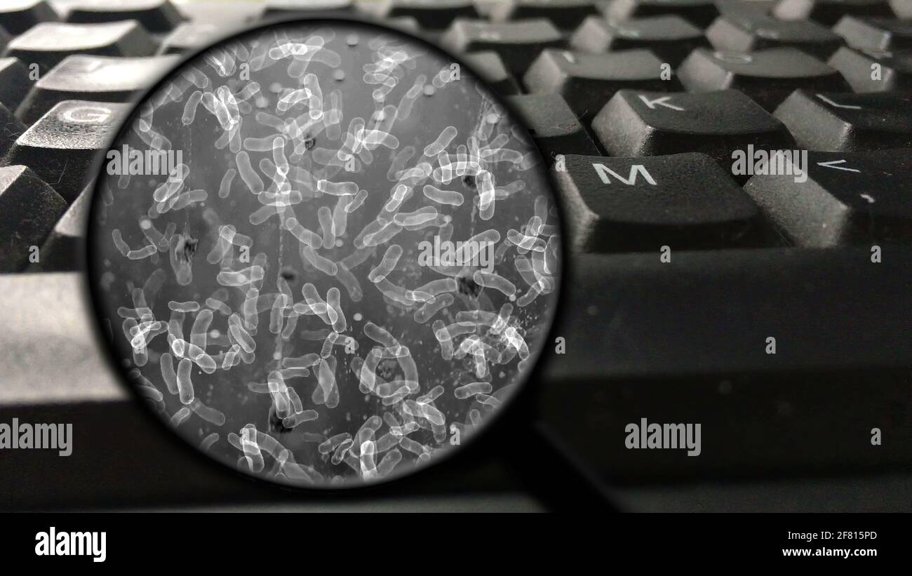 Searching for bacteria on computer keyboard Stock Photo - Alamy