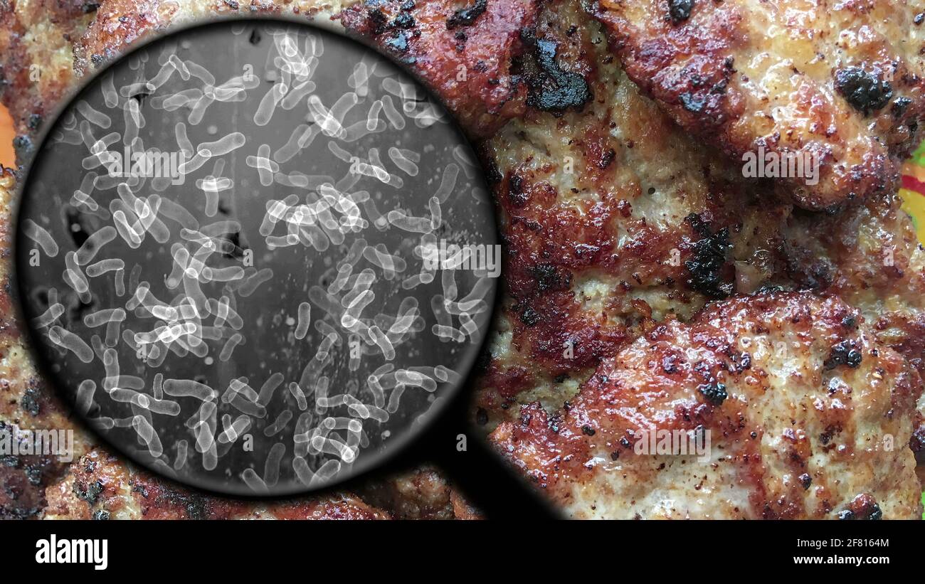 Which Meat Has The Most Bacteria at Sandra Madrigal blog