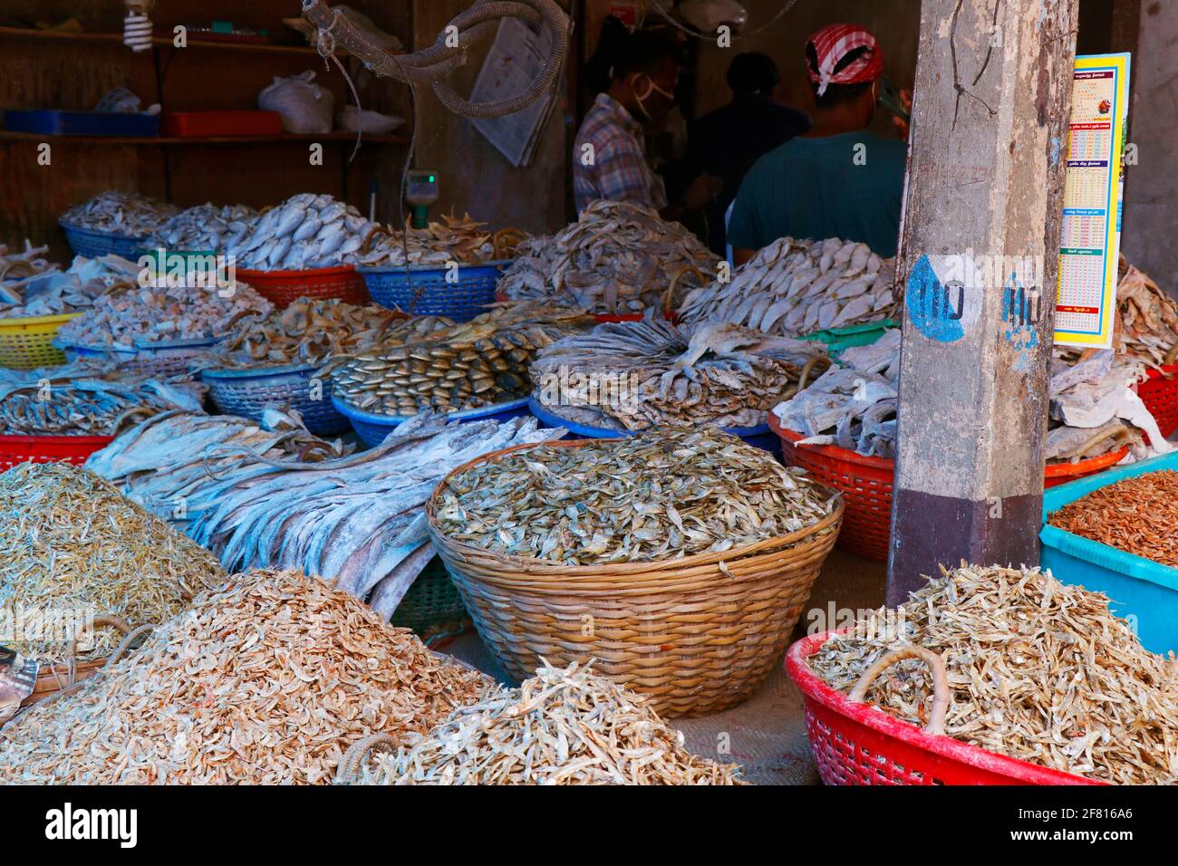 Fresh fish sale market kerala hi-res stock photography and images - Alamy