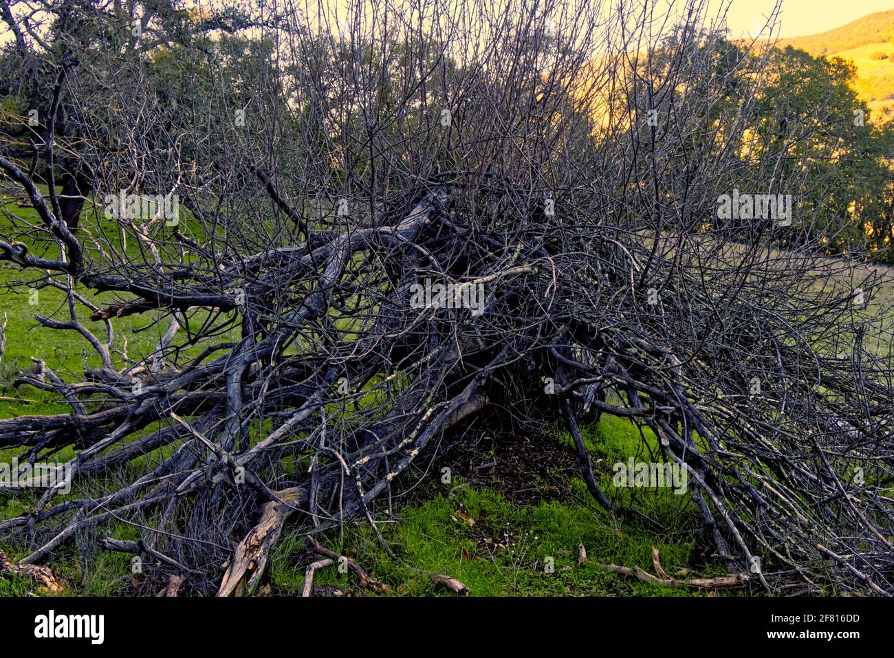 Harvey ranch hi-res stock photography and images - Alamy