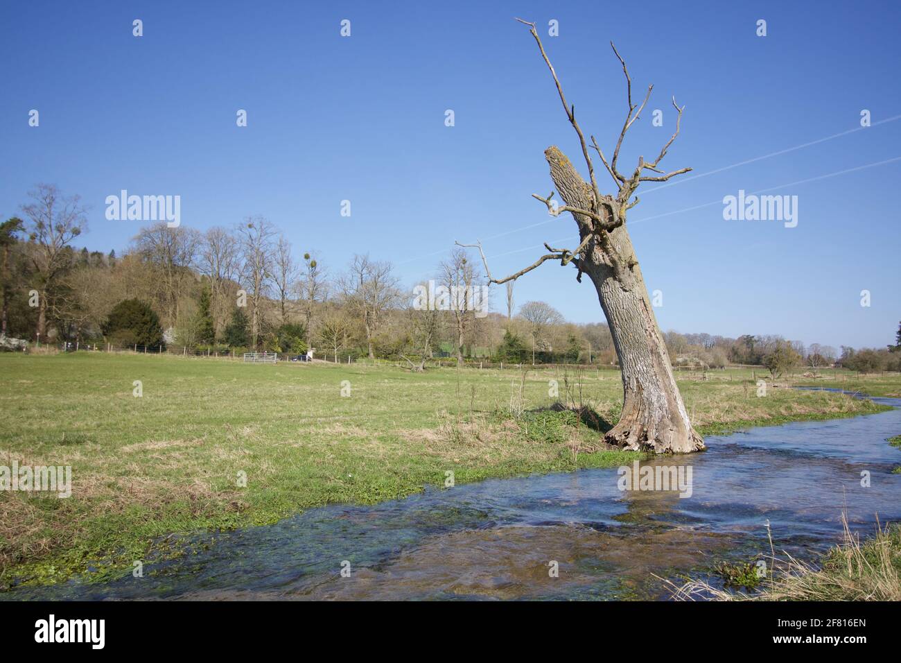 Small Stream Running Through Field High Resolution Stock Photography ...