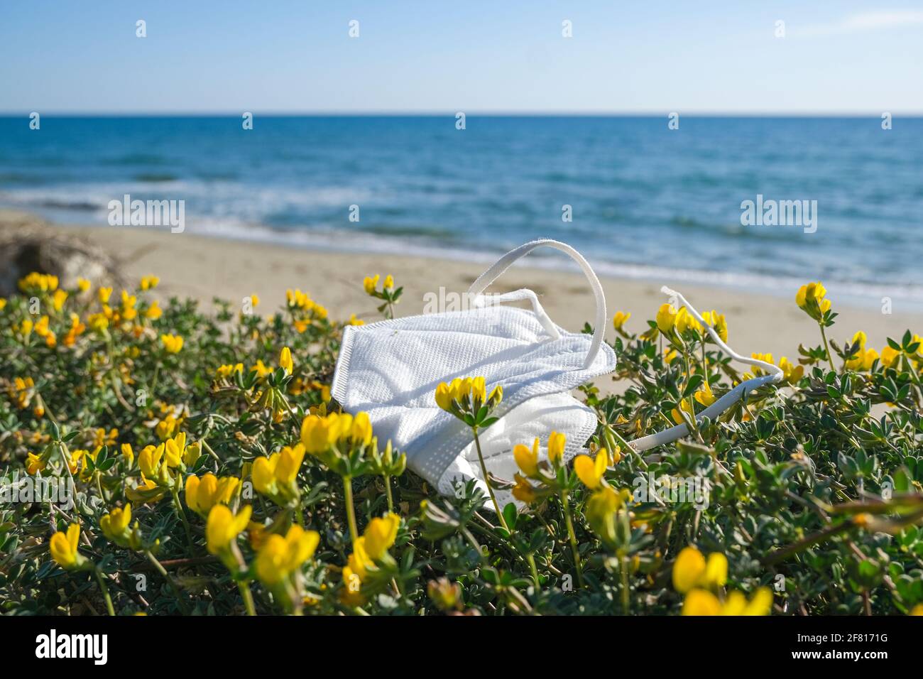 Disposable protective face mask discarded on marine plants habitat ...